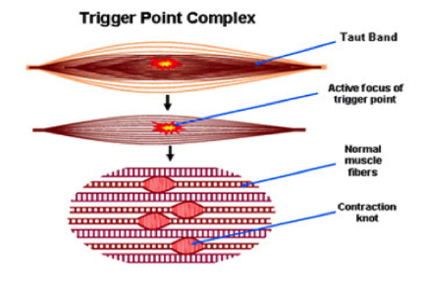Stretch your Stress away! – MAYI Yoga Academy